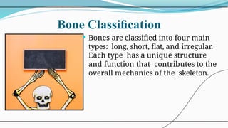 Introduction Of the bones and joint.pptx