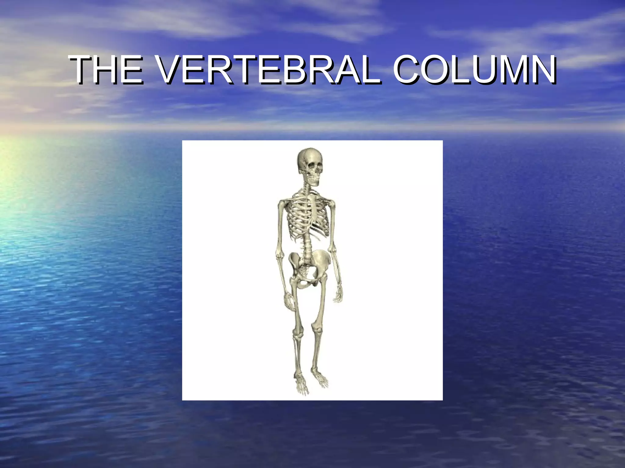 Bones and joints | PPT