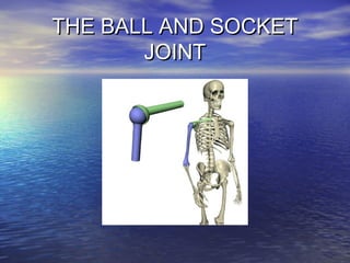 Bones and joints | PPT | Bone and Joint Conditions | Diseases and ...