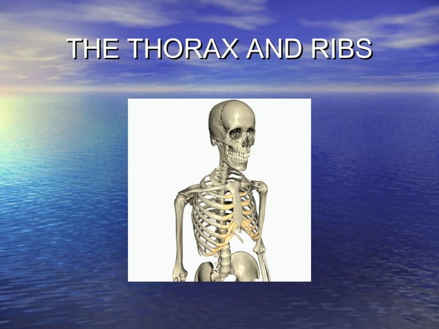 Bones and joints | PPT