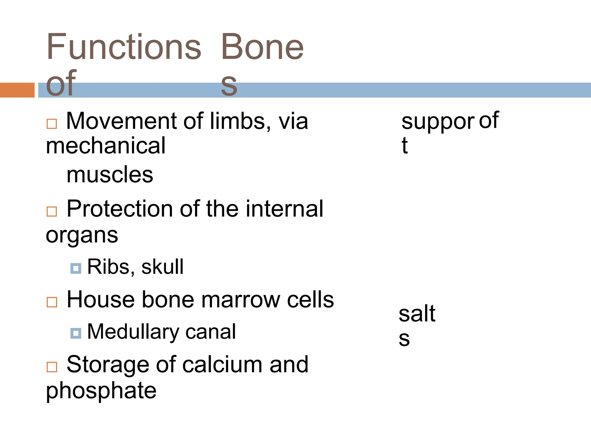 Bones and Joints anatomy BSN 1st year.pptx