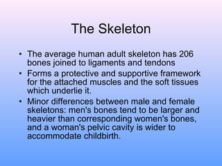 Bones and joints 1 1 | PPT