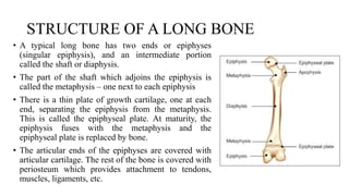 Orthopaedics basics (Bones and Joints Basics).pptx | Free Download