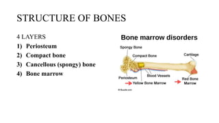 Orthopaedics basics (Bones and Joints Basics).pptx