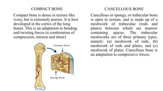 Orthopaedics basics (Bones and Joints Basics).pptx