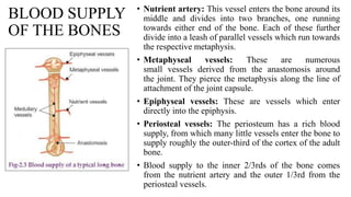 Orthopaedics basics (Bones and Joints Basics).pptx