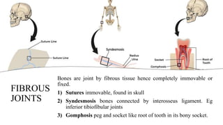 Orthopaedics basics (Bones and Joints Basics).pptx