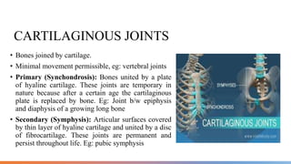 Orthopaedics basics (Bones and Joints Basics).pptx