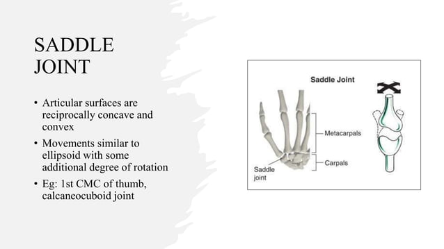 Orthopaedics basics (Bones and Joints Basics).pptx | Free Download