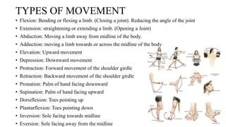 Orthopaedics basics (Bones and Joints Basics).pptx