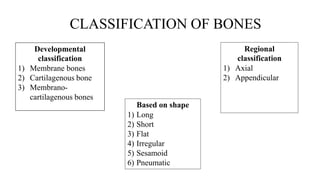 Orthopaedics basics (Bones and Joints Basics).pptx
