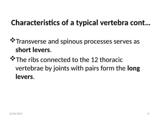 BONES AND JOINTS OF THE SPINE, BONES OF THE VERTEBREA.pptx