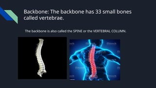 Bones and Muscles and its importance.pptx