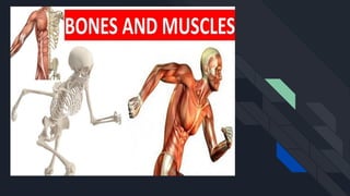 Bones and Muscles and its importance.pptx
