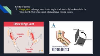 Bones and Muscles and its importance.pptx