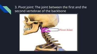 Bones and Muscles and its importance.pptx