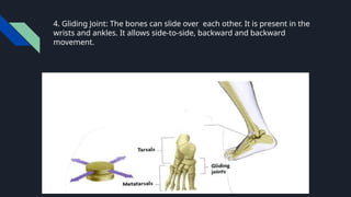 Bones and Muscles and its importance.pptx