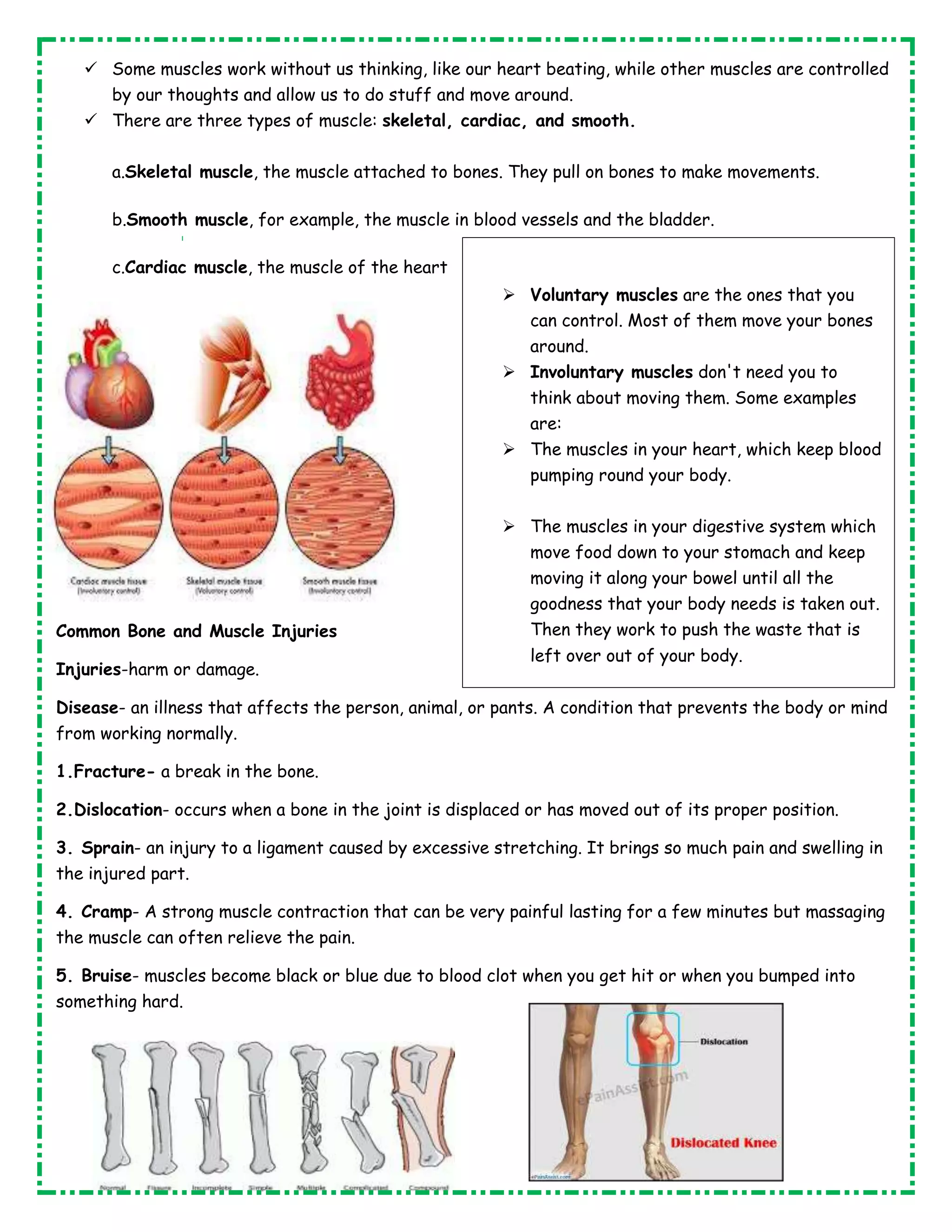 BONES AND MUSCLES handout 2nd quarter.docx · version 1 orchids.docx