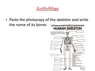 Bones and muscles of the body | PPT