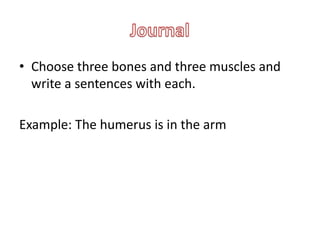 Bones and muscles of the body | PPT