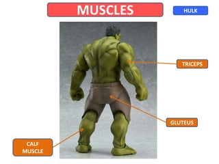 Bones and muscles superheroes | PPTX