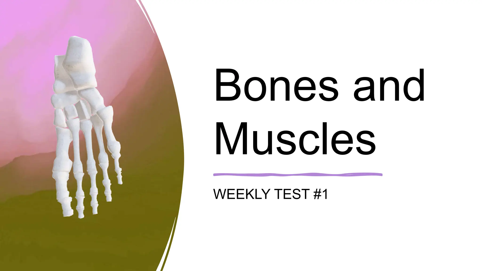 Bones and Muscles grade 4 weekly test.pptx