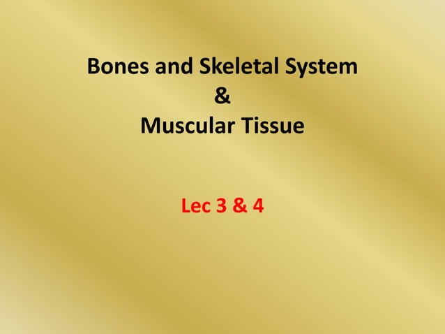 Bones and Skeletal System, Lec3 & 4.ppt