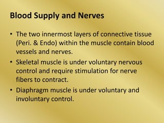 Bones and Skeletal System, Lec3 & 4.ppt