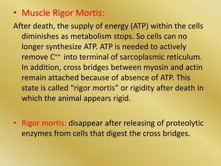 Bones and Skeletal System, Lec3 & 4.ppt
