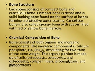 Bones and Skeletal System, Lec3 & 4.ppt