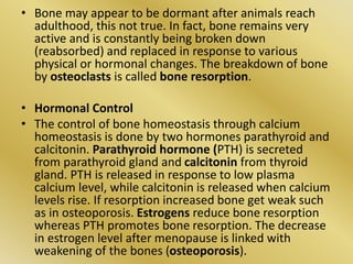 Bones and Skeletal System, Lec3 & 4.ppt