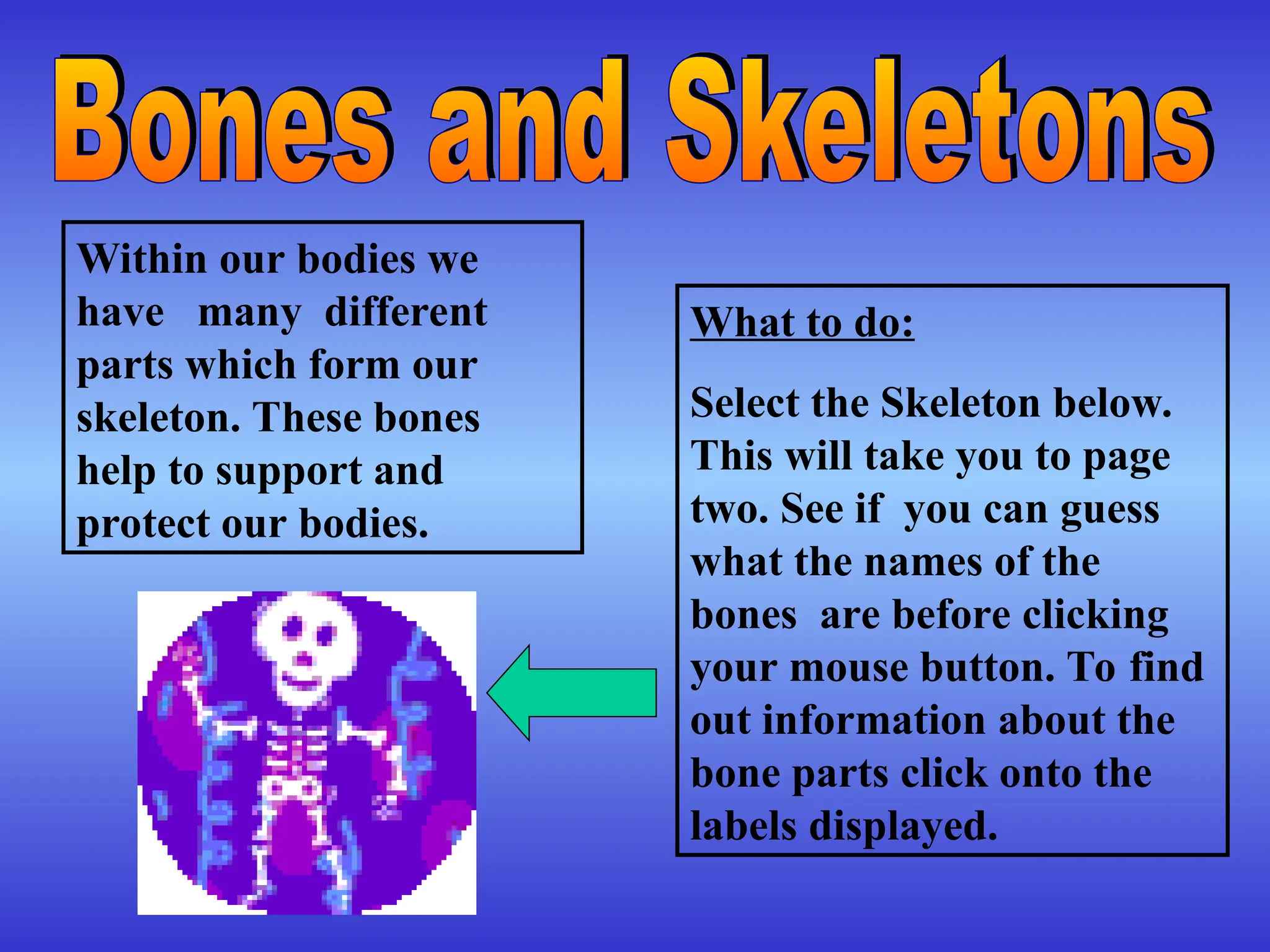 A brief presentation based on the bones and Skeleton | PPT