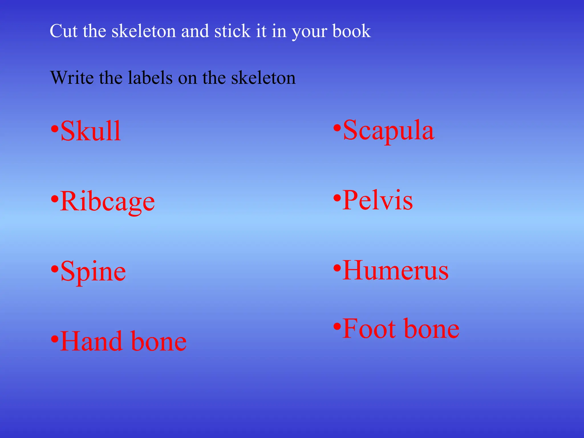A brief presentation based on the bones and Skeleton | PPT