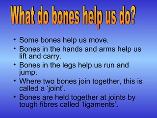 A brief presentation based on the bones and Skeleton | PPT