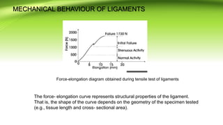 elastic behaviour of Bones,skin and muscles | PPTX