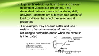 elastic behaviour of Bones,skin and muscles | PPTX