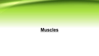 elastic behaviour of Bones,skin and muscles | PPTX