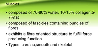 elastic behaviour of Bones,skin and muscles | PPTX