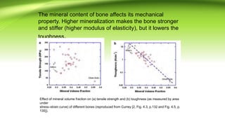 elastic behaviour of Bones,skin and muscles | PPTX