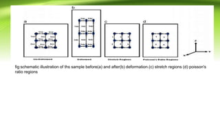 elastic behaviour of Bones,skin and muscles | PPT