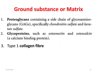 Bones and type | PPTX