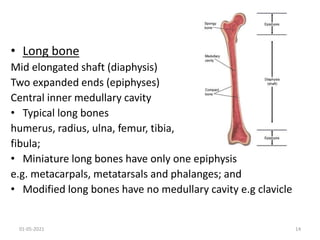 Bones and type | PPTX | Death, Injury, or Military Conflict | Sensitive ...