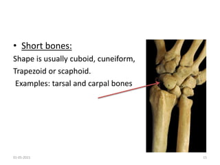 Bones and type | PPTX