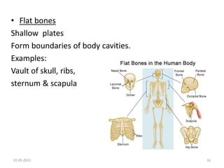 Bones and type | PPTX