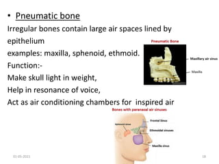 Bones and type | PPTX