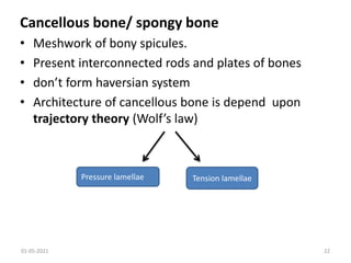 Bones and type | PPTX