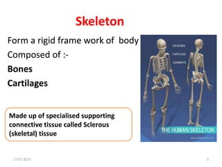 bones and type.pptx
