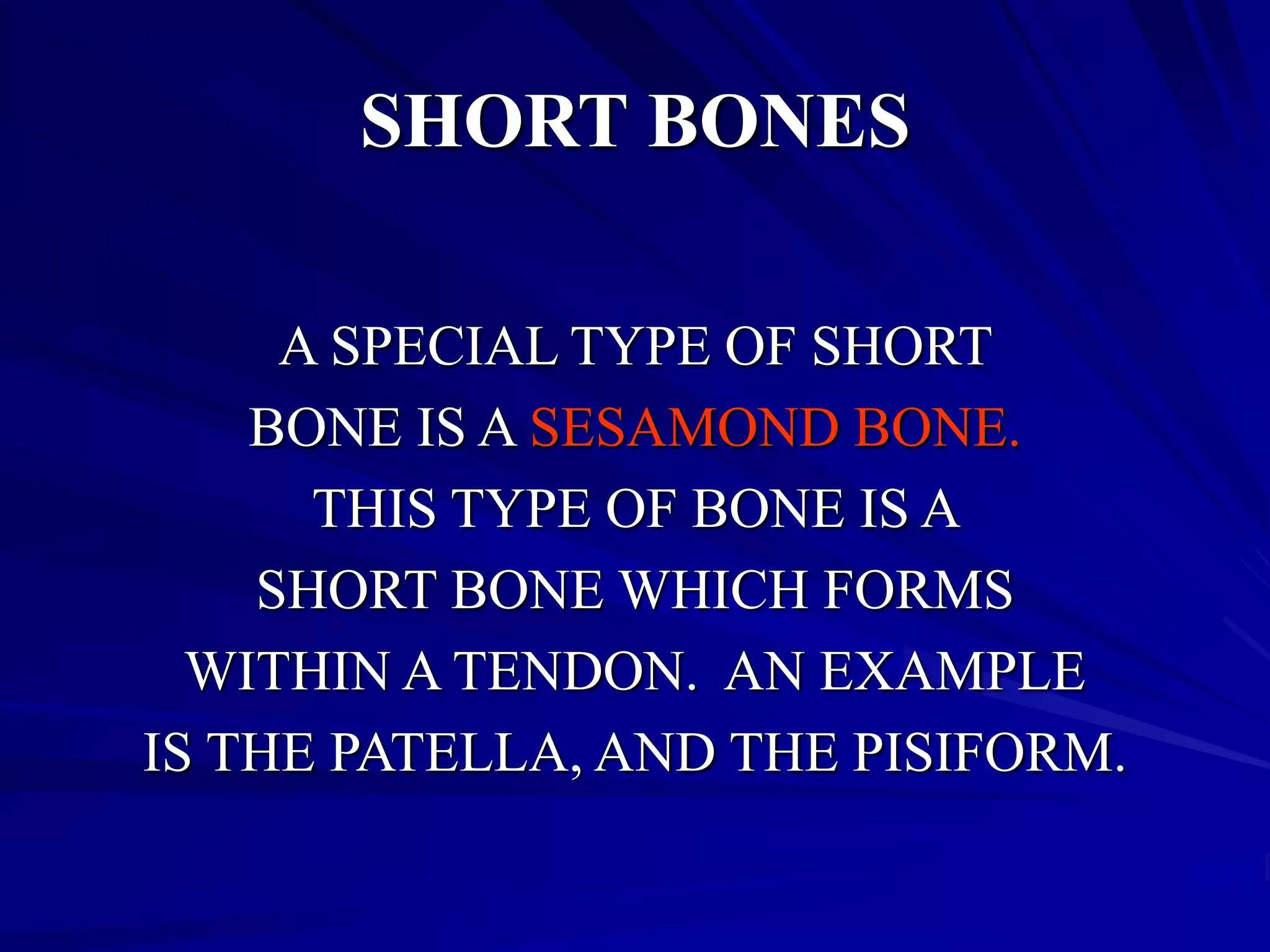 skeletal system and bones | PPT