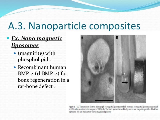 Bone targeting delivery system