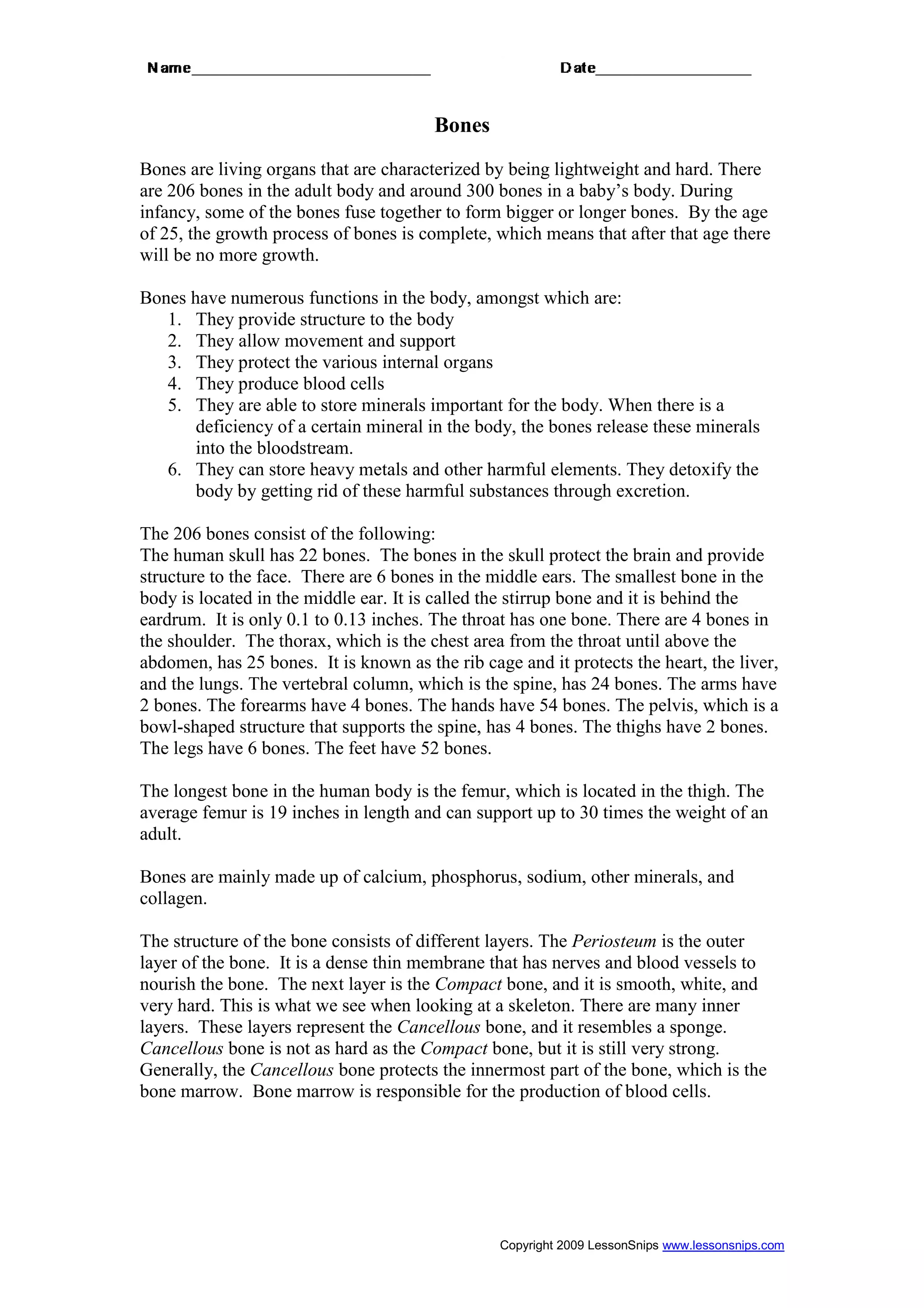 Bonesbody worksheet | PDF